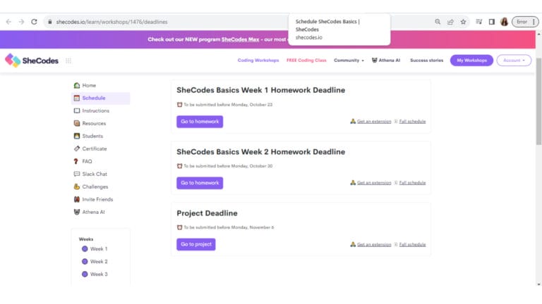 SheCodes Review 2025: Everything You Need to Know