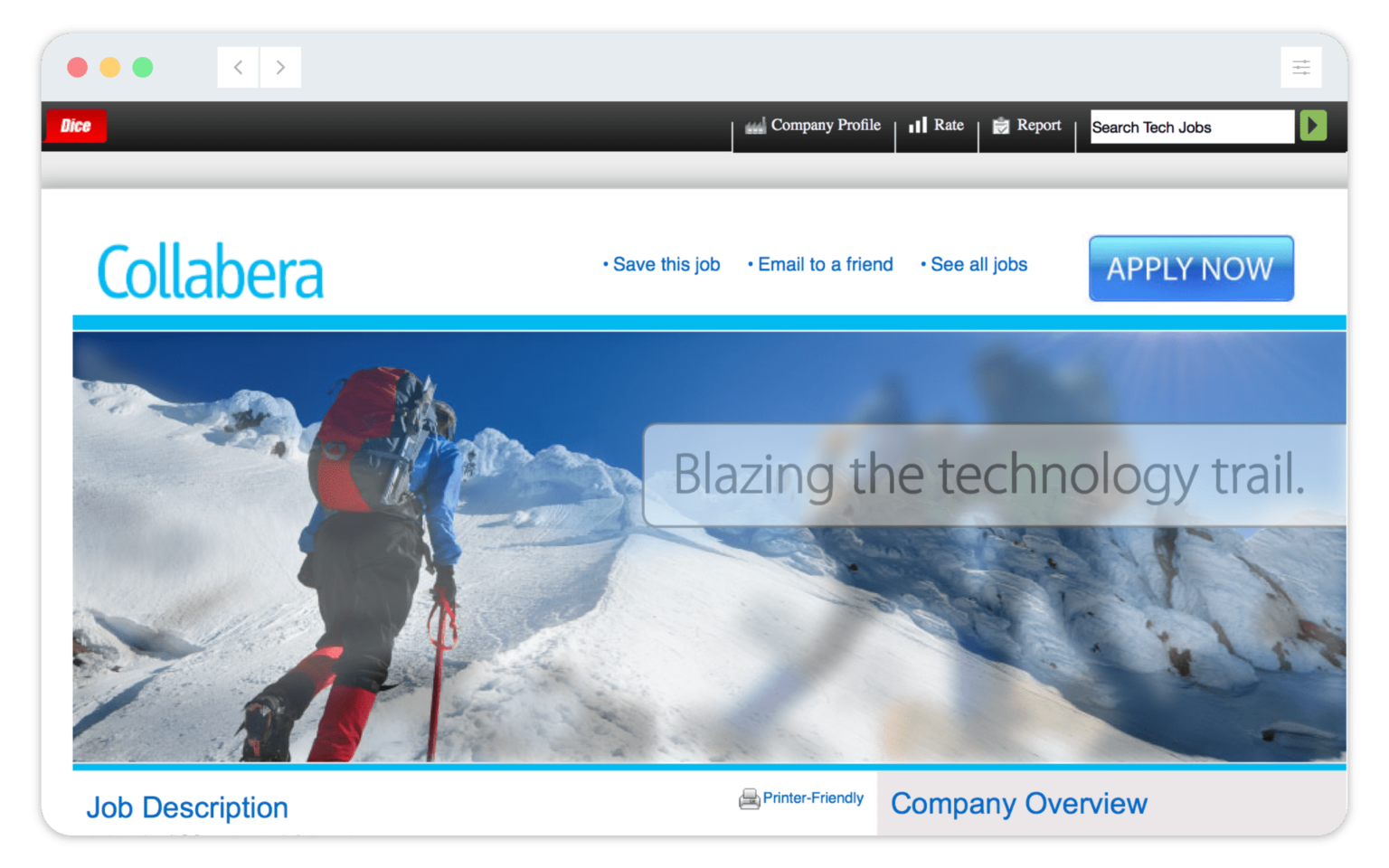 48 Most Common Job Titles in Tech—Explained!