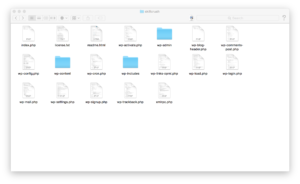 How to Back Up WordPress without a Plugin - Skillcrush